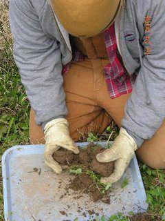 Pickawillany Update 5 - Ohio History Connection