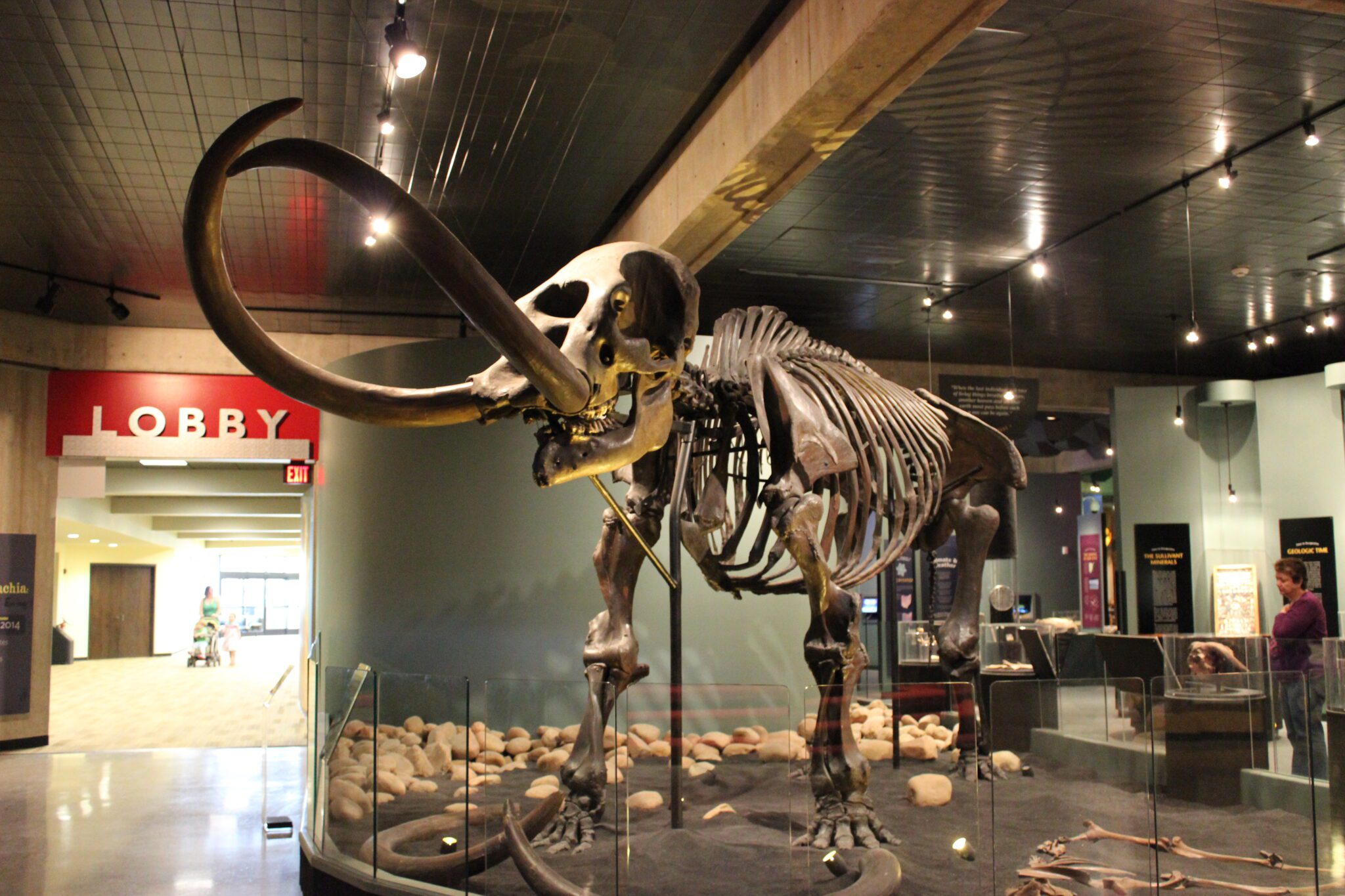 How to Find a Mastodon - The Story of the Williams Mastodon - Ohio ...