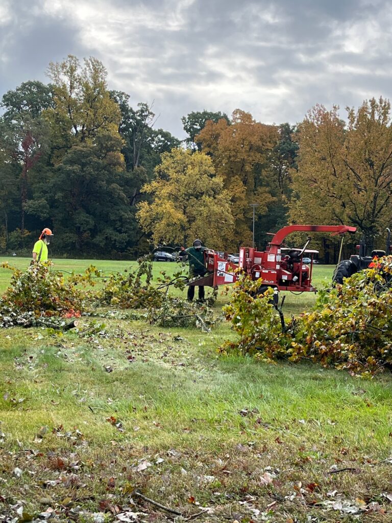 A Day in the Life of a Site: Fort Ancient Earthworks & Nature Preserve ...