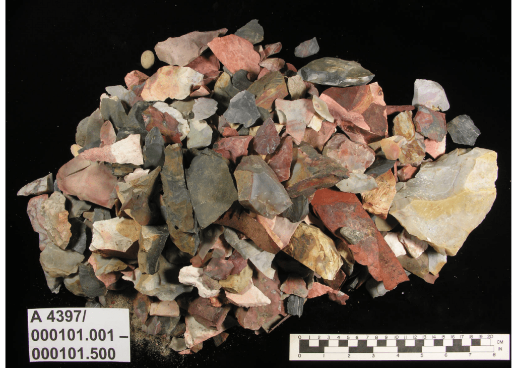 Objects from the Octagon: Archaeological Collections and the Stories ...